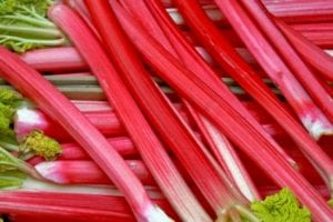 9 Things You Probably Didn’t Know About Rhubarb - Snowcrest Foods ...